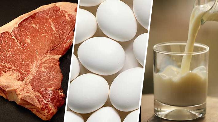 FAO destaca a la carne, los huevos y la leche como alimentos que ...